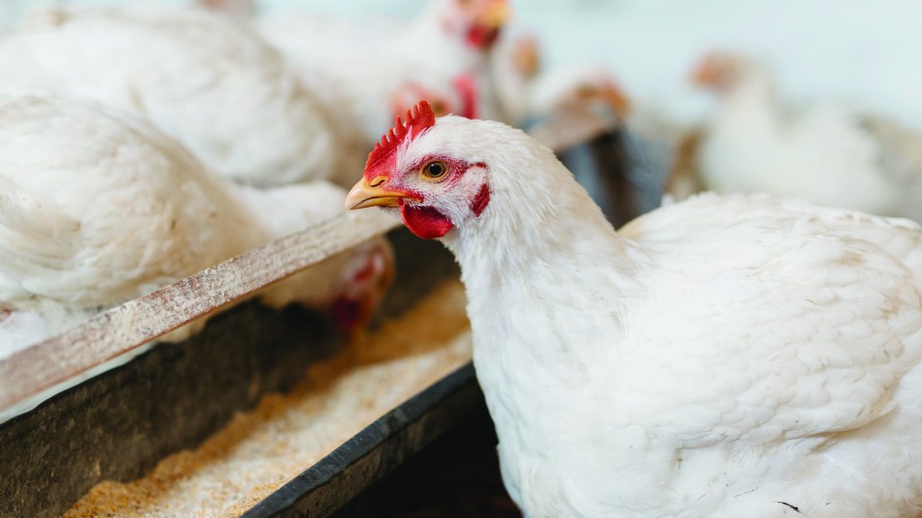 Proact 360: La nueva proteasa que promueve la producción animal ...