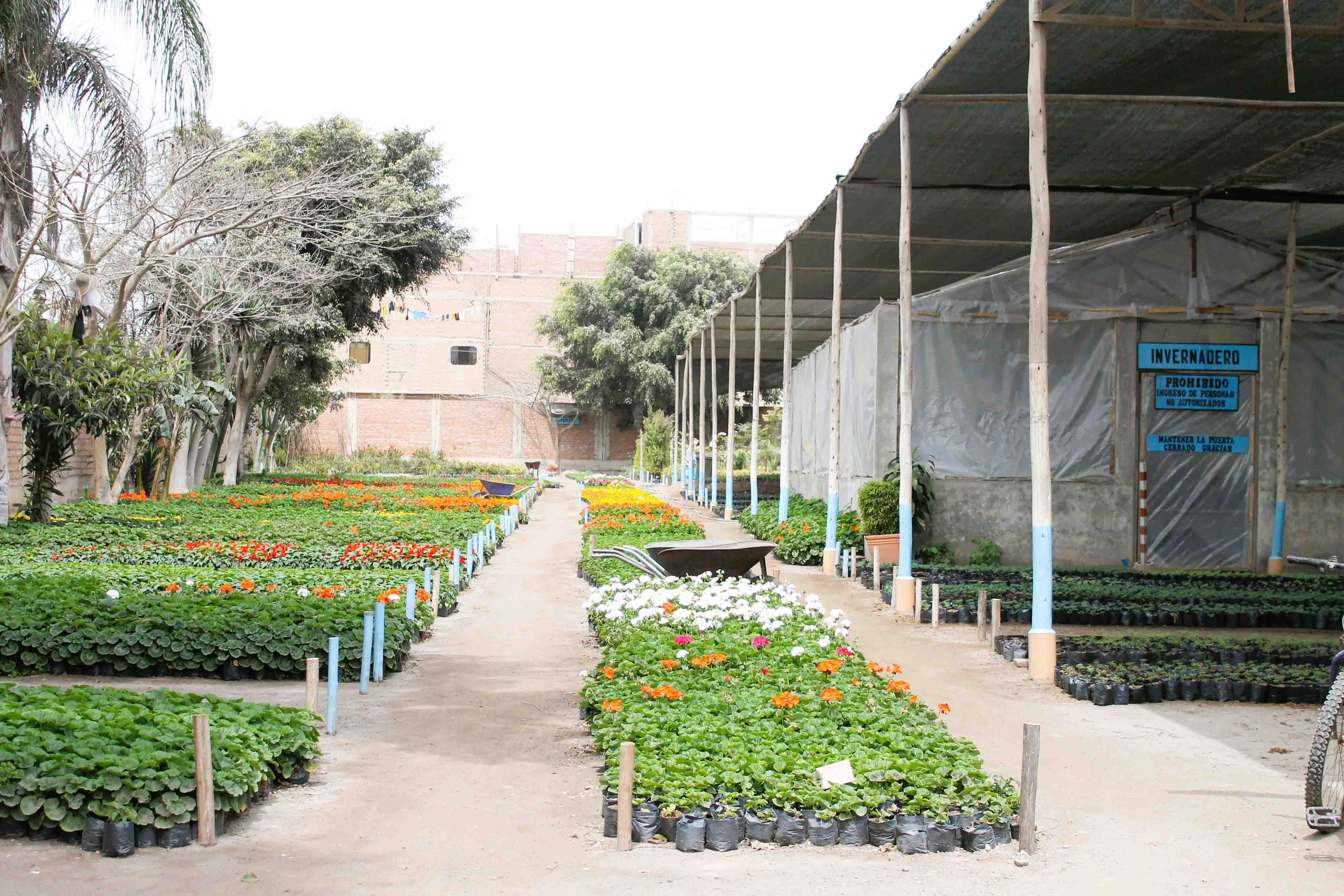 Ajinomoto del Perú, alcanzó 97% de reciclaje a través de gestión de ...